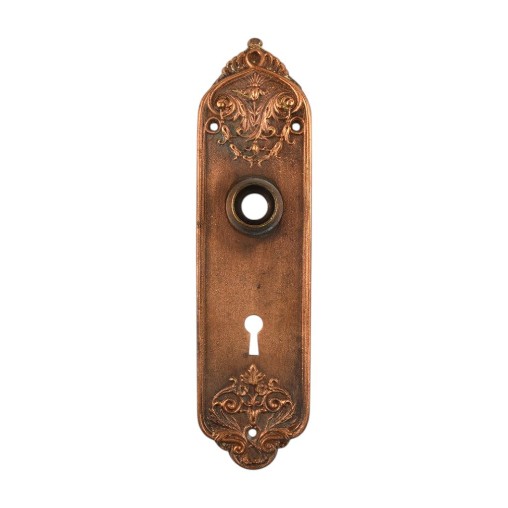 Barrows Baltic Door Plate – Antique Hardware Co.