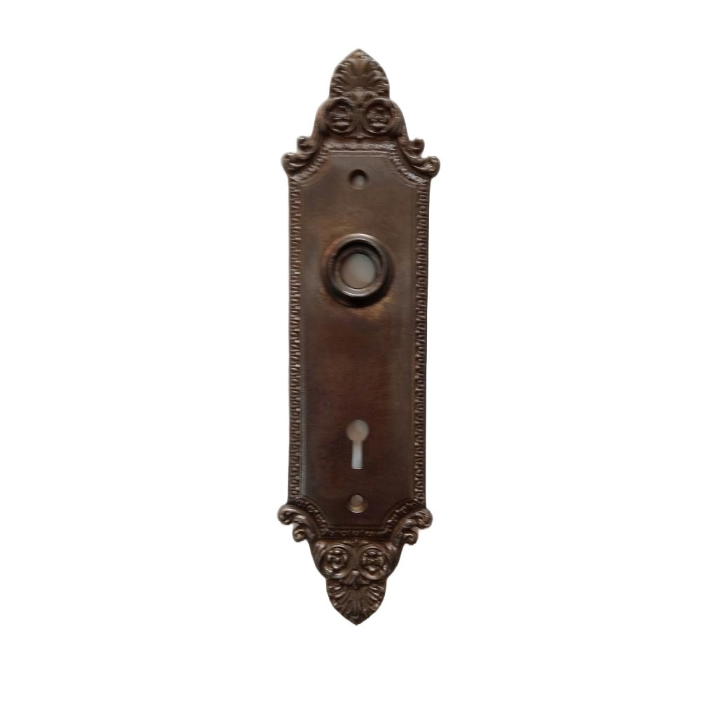 Barrows Geneva Door Plate Steel Finish – AHC